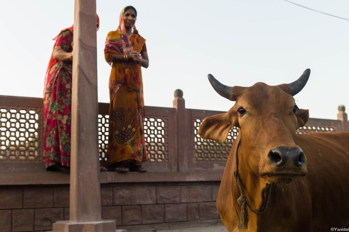 YANIDEL STREET PHOTOGRAPHY - PARIS